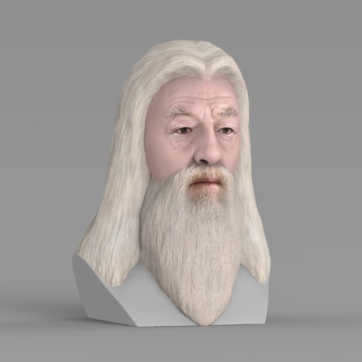 Download 3D printing templates Dumbledore from Harry Potter bust for ...