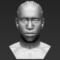 STL files for 3D printer Celebrity ・ Cults