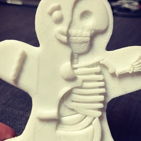 Download free 3D printer designs Gingerbread Man Anatomy ・ Cults