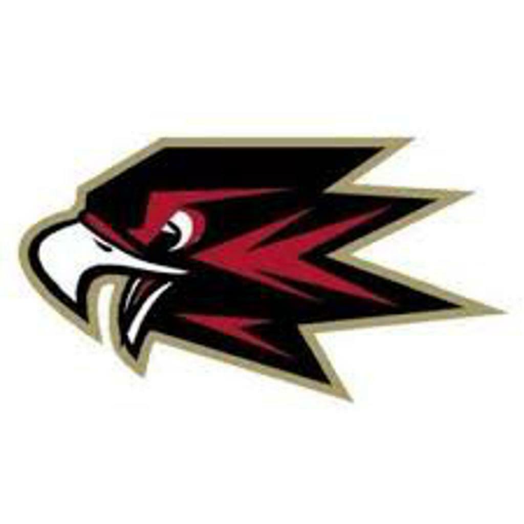 Free 3D file Southridge Skyhawks Mascot・Template to download and 3D ...