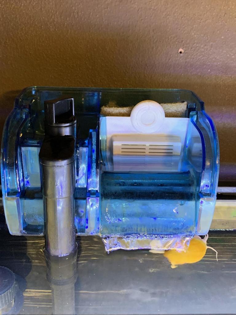 Free STL file Reusable Aquarium Filter・3D printable model to download・Cults