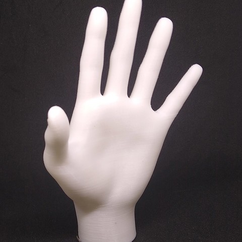 Download 3D printing models Hand Finger Shaped Object Key Item Holder ...