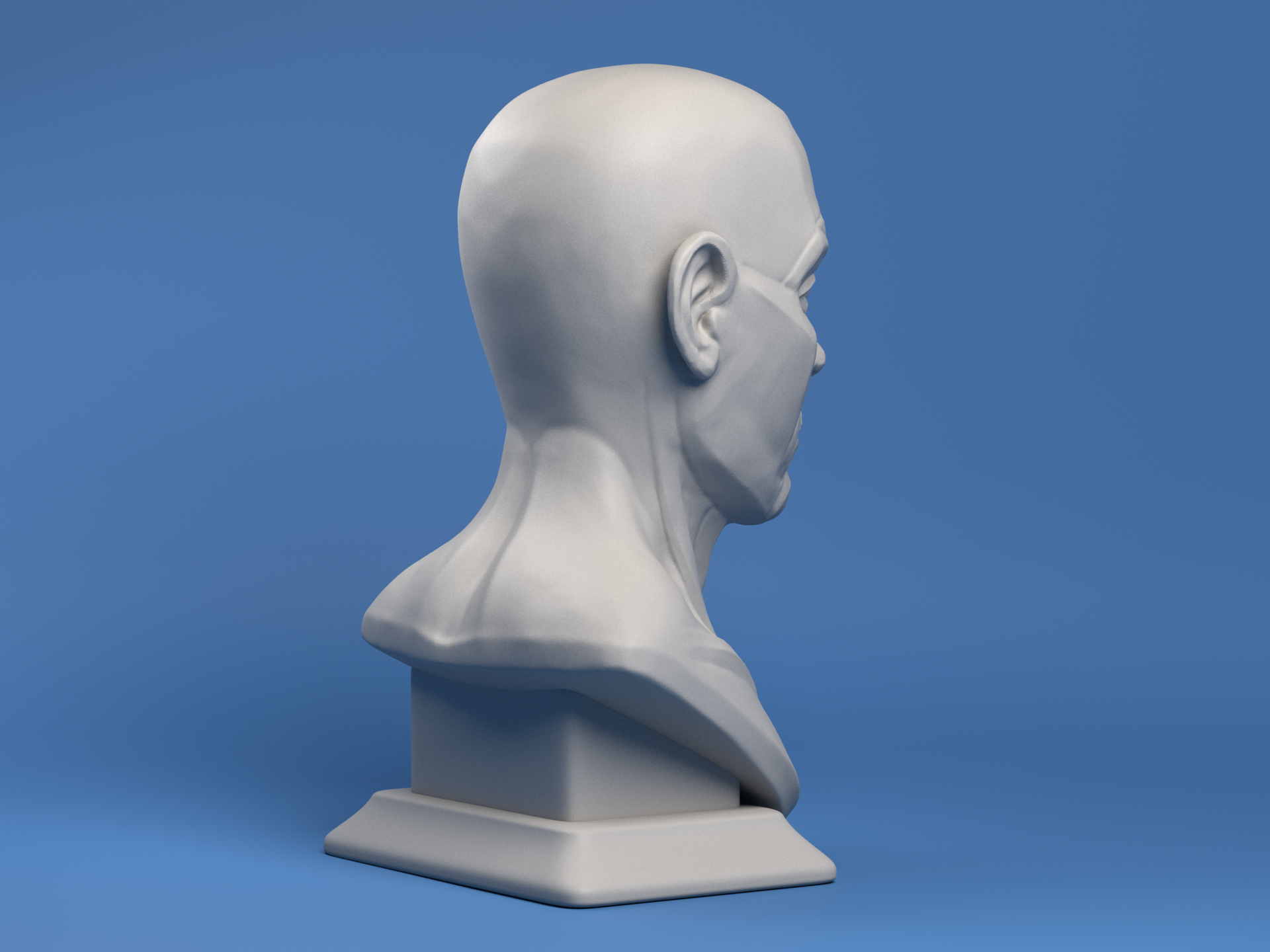 3D file Face Plane Anatomy Firgure・Model to download and 3D print・Cults
