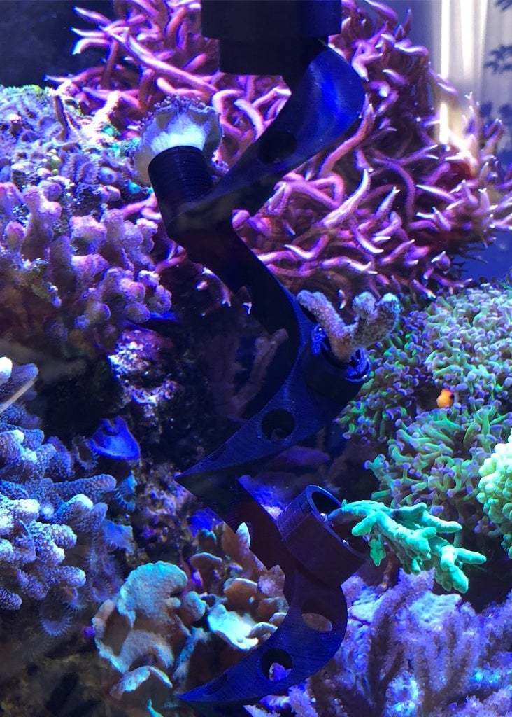 Free STL file CORAL CUTTINGS HOLDER 🪸・3D printing template to download ...