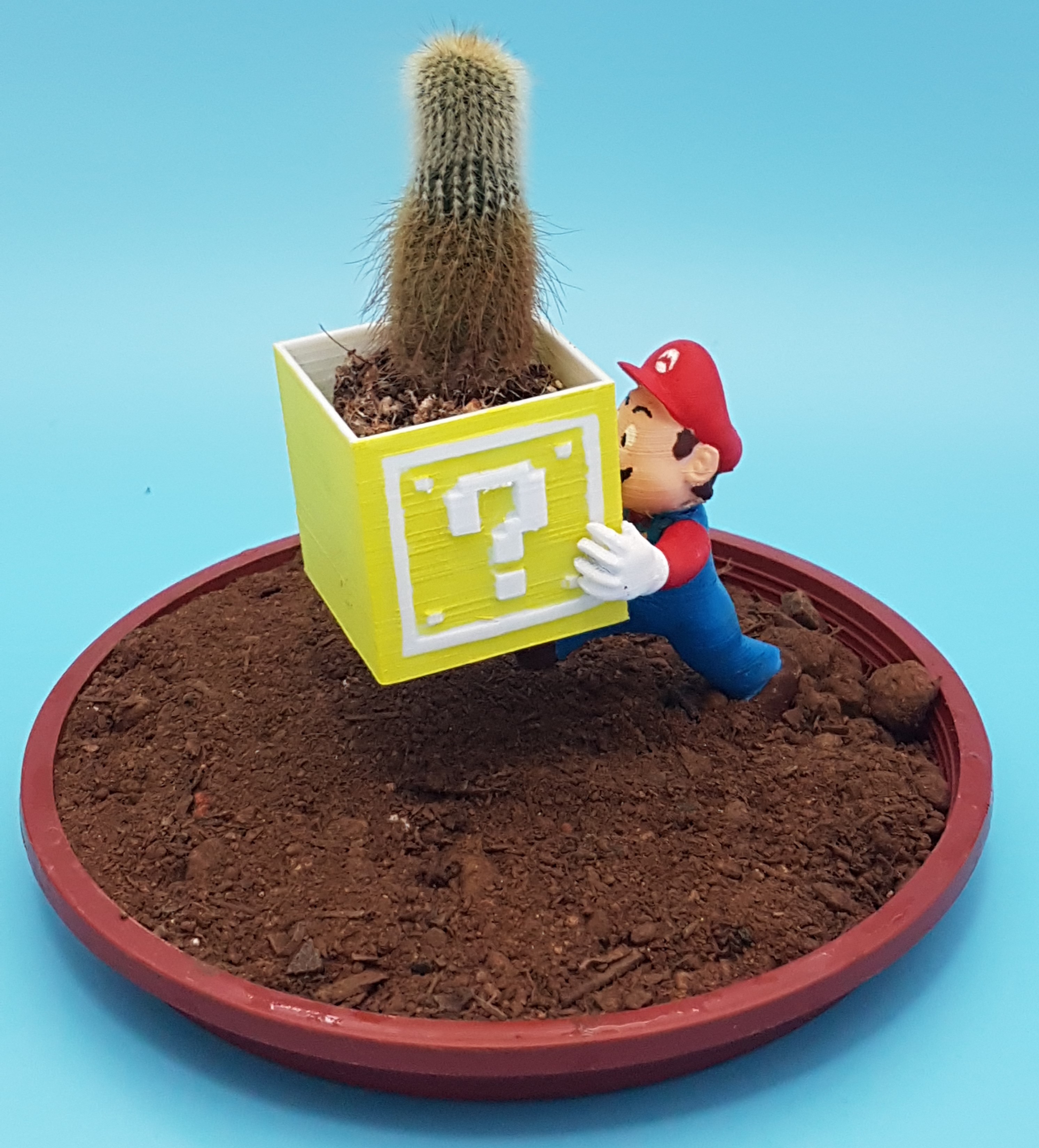STL file Mario Pot 🪴・3D printer model to download・Cults