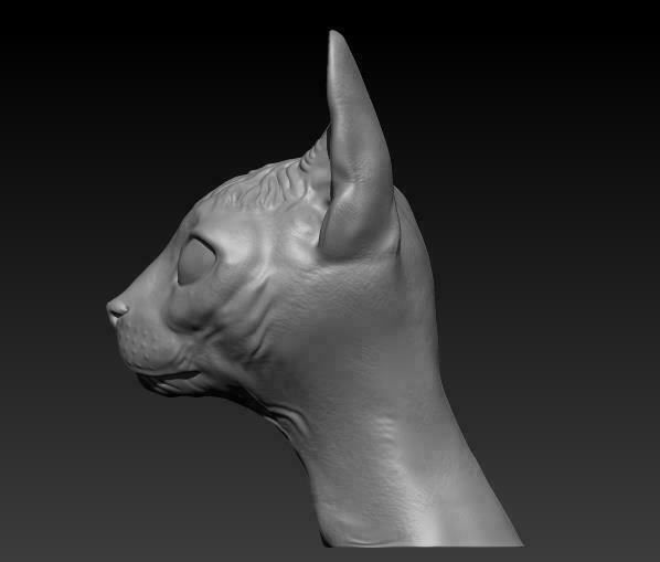 STL file cat sphynx 🐱・Template to download and 3D print・Cults