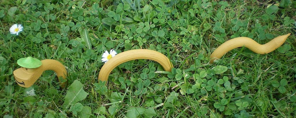 Free STL file Wormy the Worm・3D printer design to download・Cults