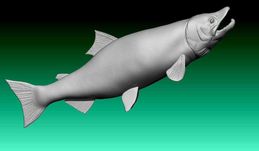STL file Salmon 🐠・3D printing design to download・Cults