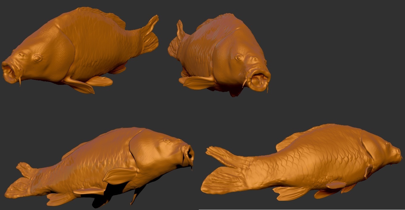STL file carp fish・3D print model to download・Cults