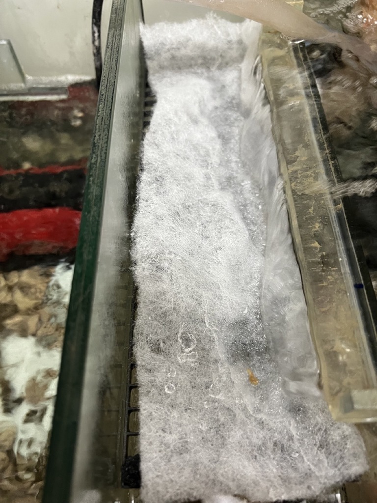 Fichier 3D gratuit Grille pour l'utilisation du Perlon dans les ...