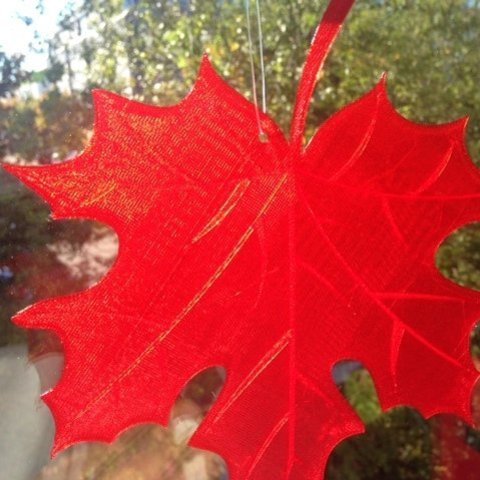 Download free 3D model Maple_Leaf ・ Cults