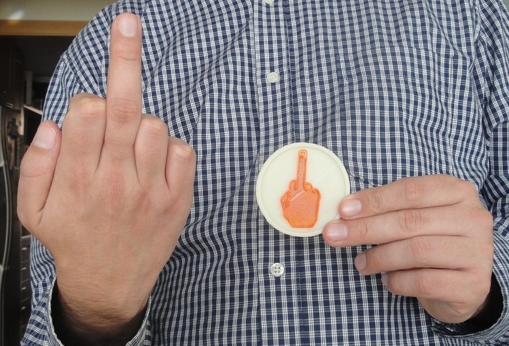 Free STL file The f*** you all coin・Object to download and to 3D print ...