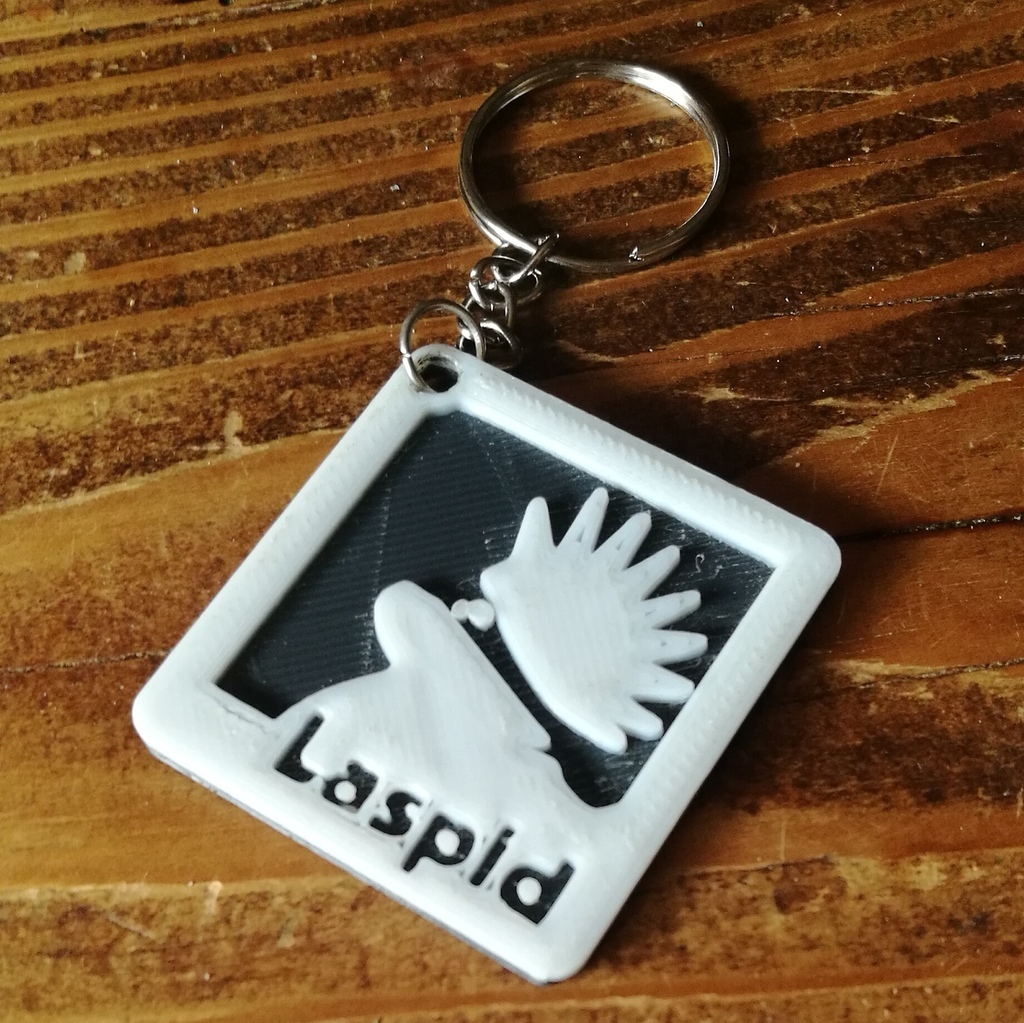 Free 3D file LASPID Keychains・3D printing template to download・Cults