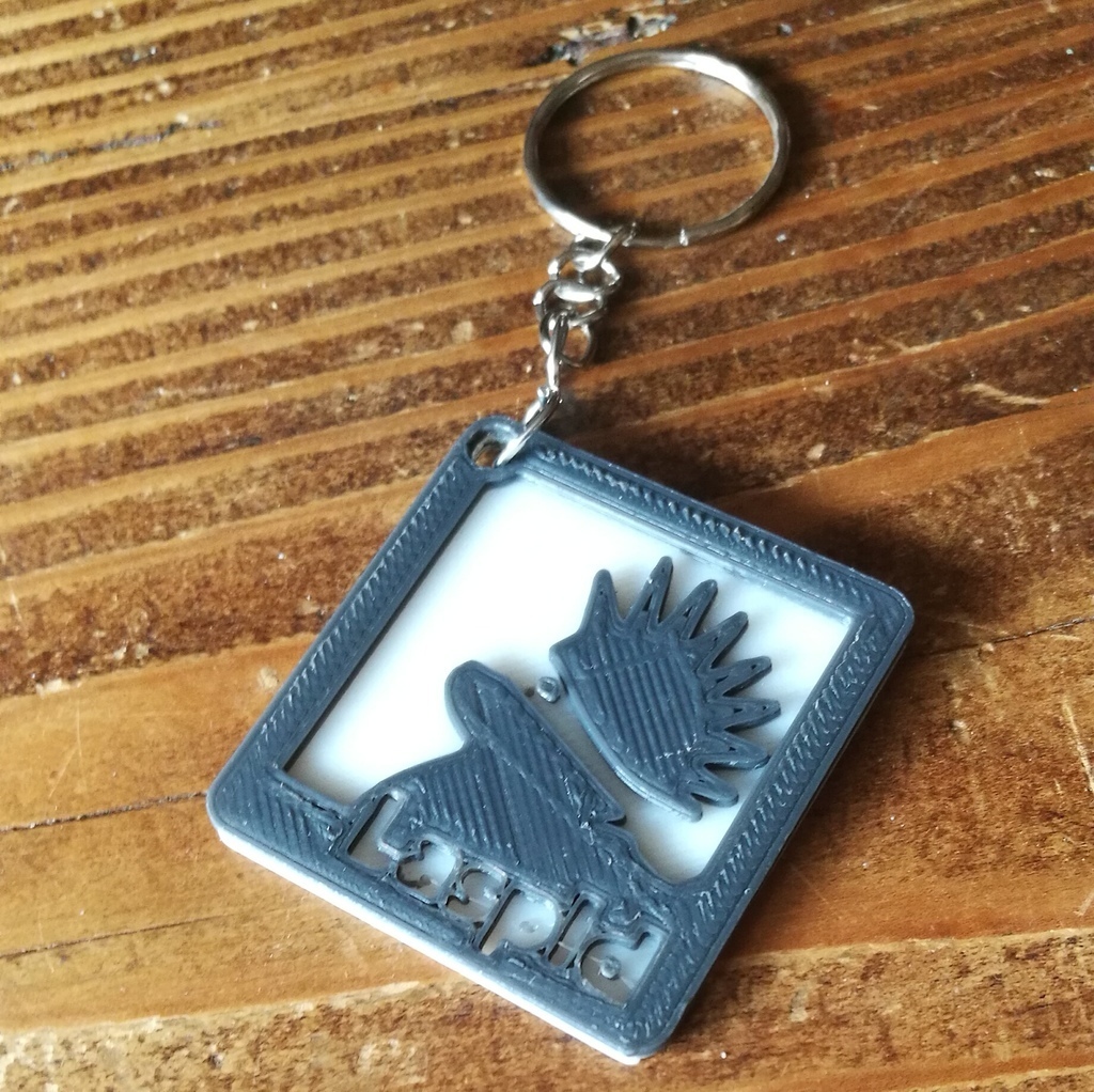 Free 3D file LASPID Keychains・3D printing template to download・Cults