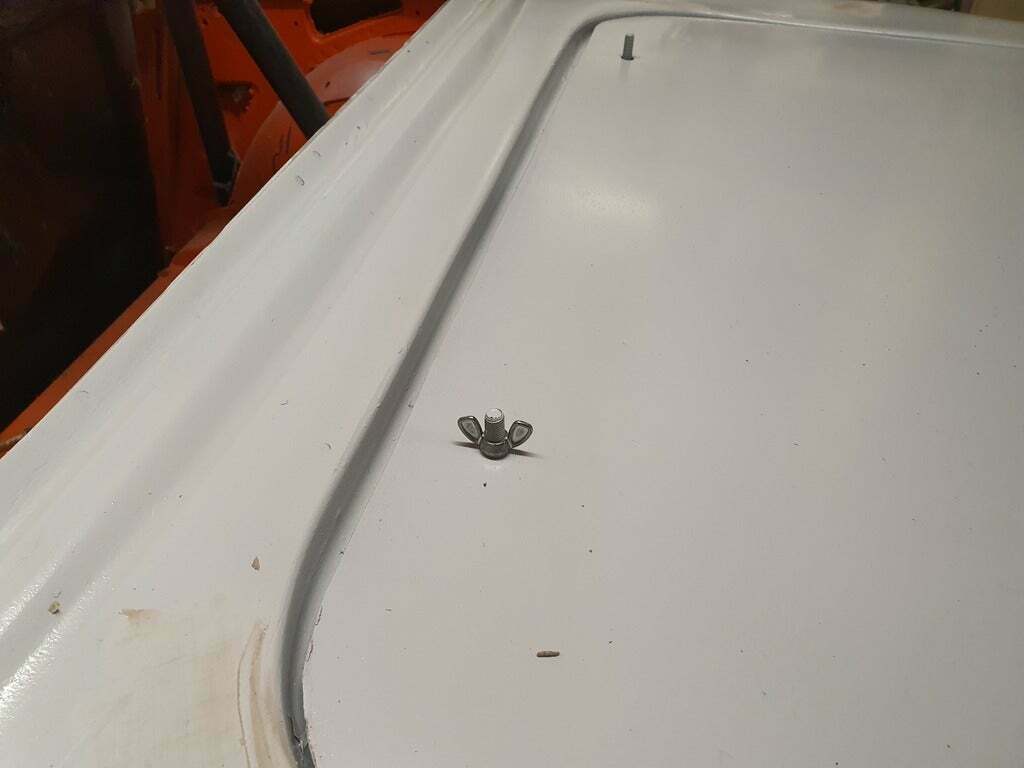 Free STL file m10 wing nut cover 🪶・3D printable model to download・Cults