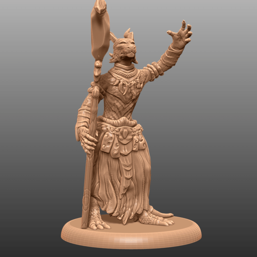 Download free STL file Kobold Witch Doctor ・ Cults