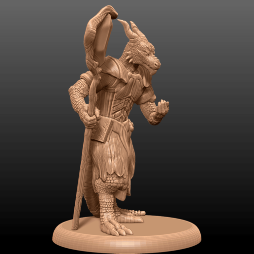Download free STL file Kobold Wizard - Tabletop Miniature • 3D print ...