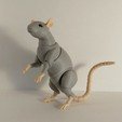 Download STL file Rat BJD • 3D print object ・ Cults