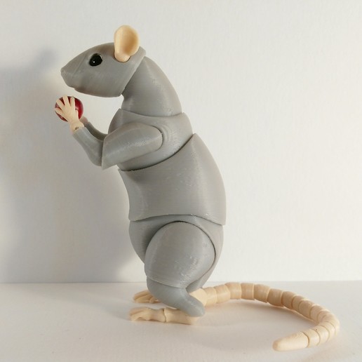 Download STL file Rat BJD • 3D print object ・ Cults
