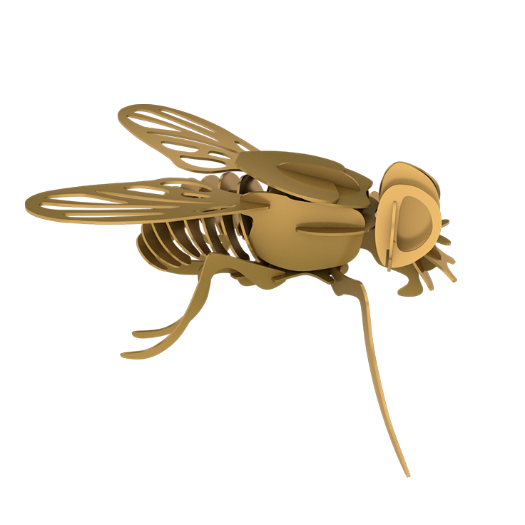 STL file Fly Mosca・3D printable model to download・Cults