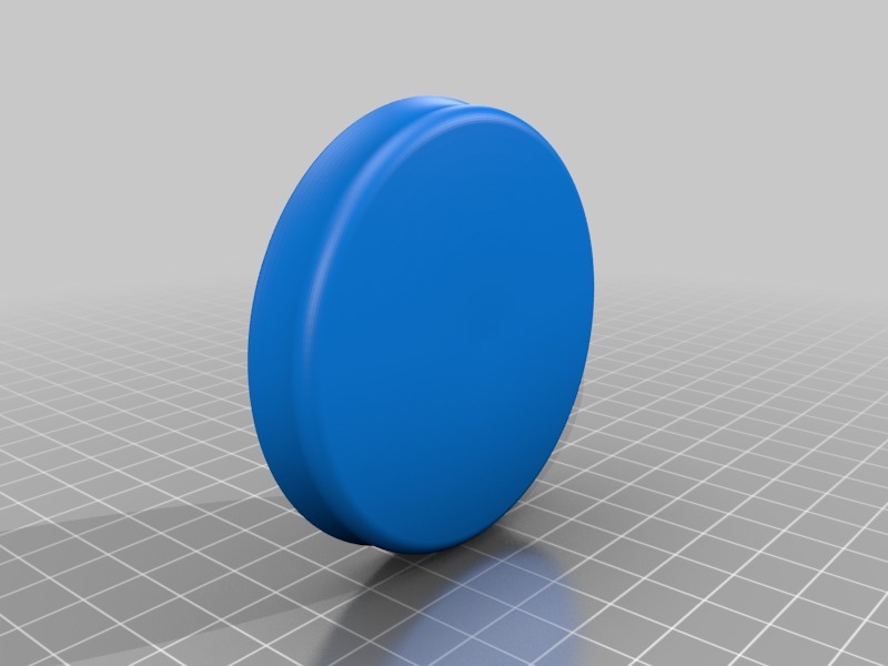 Free 3D file Skipper Disc・3D printing model to download・Cults