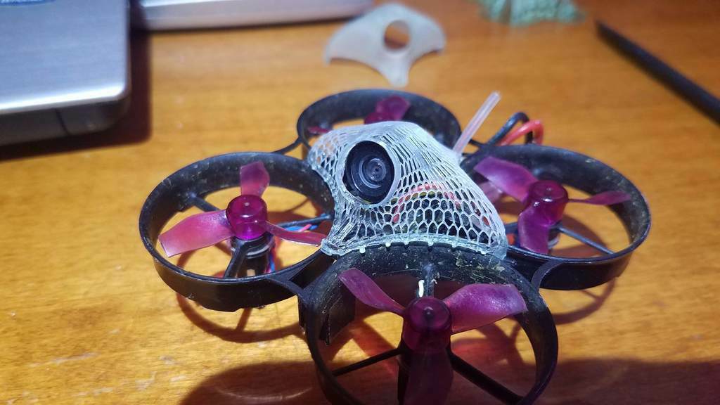 Archivo 3D gratis Tiny Whoop Nano Canopy 🚁・Diseño por impresión en 3D ...