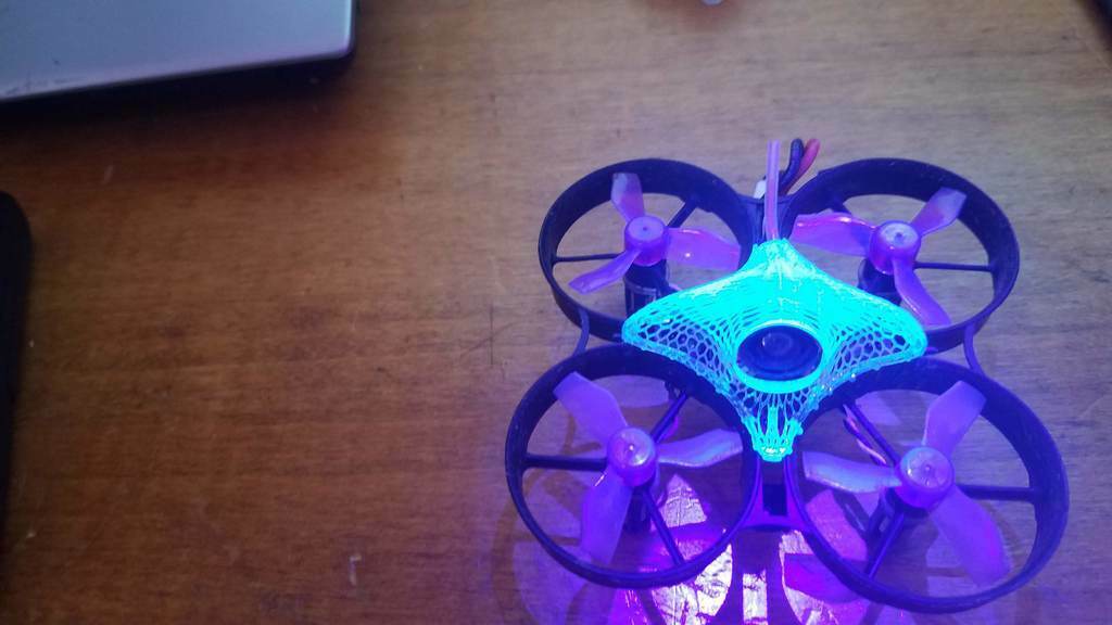 Archivo 3D gratis Tiny Whoop Nano Canopy 🚁・Diseño por impresión en 3D ...