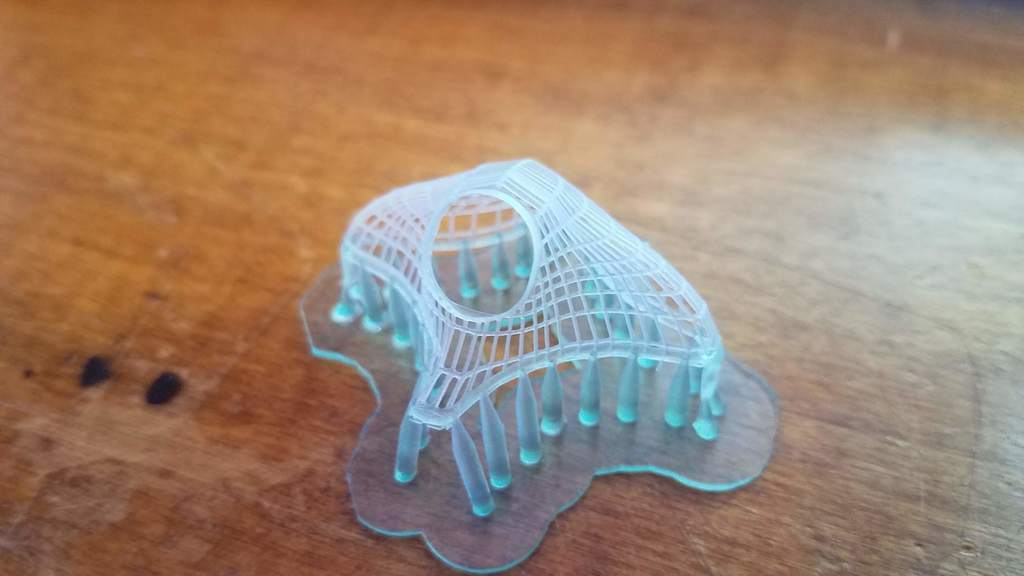 Archivo 3D gratis Tiny Whoop Nano Canopy 🚁・Diseño por impresión en 3D ...