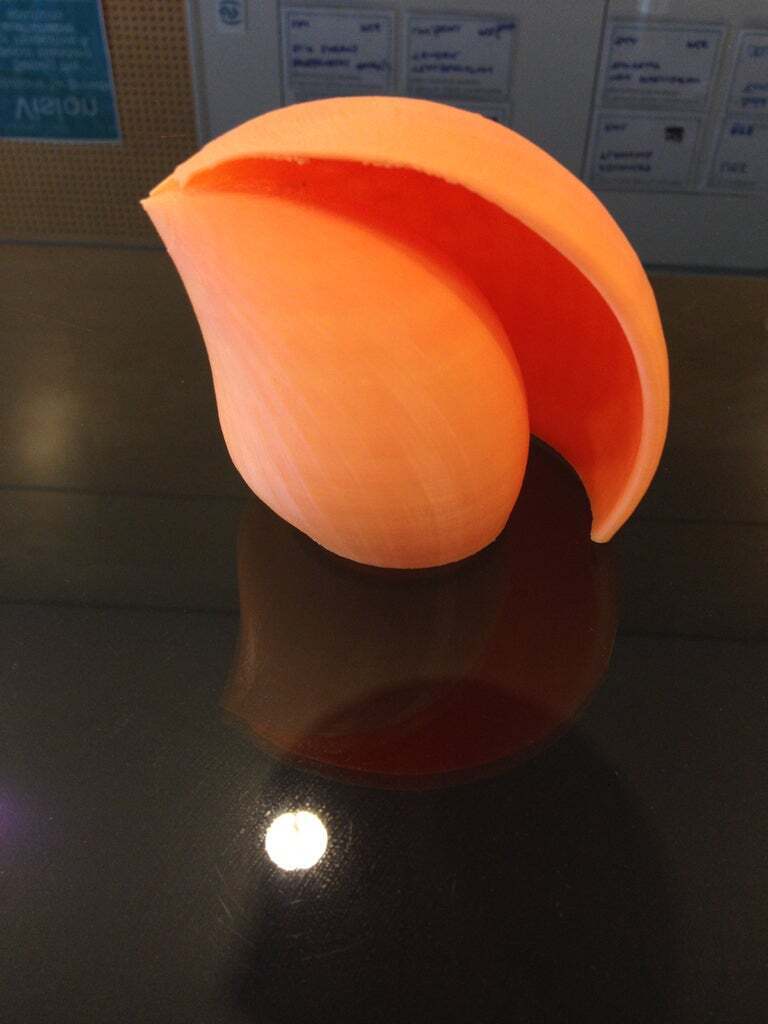 Free STL file shell shape shade・Template to download and 3D print・Cults