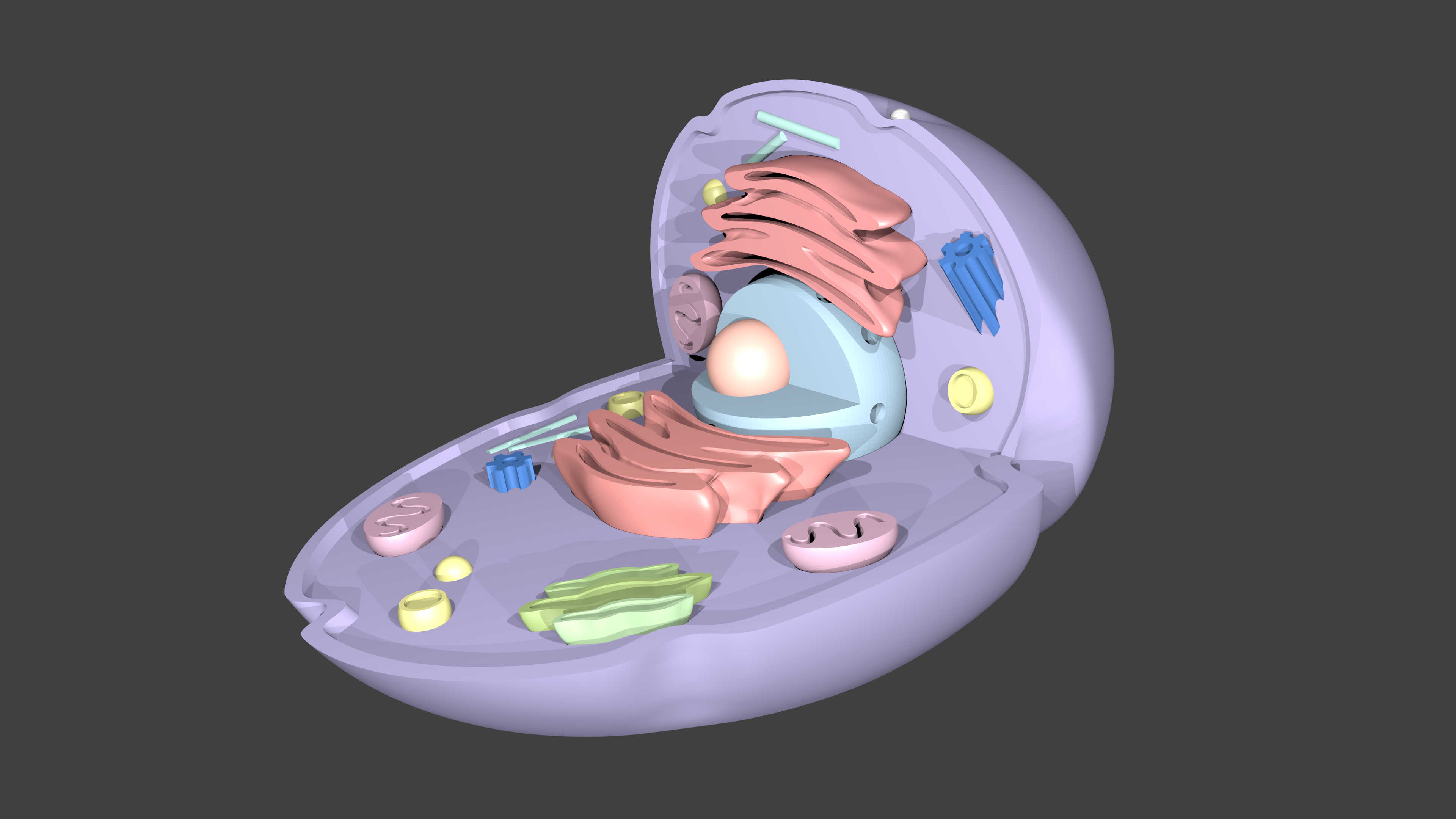 Descargar archivo STL célula humana • Diseño para imprimir en 3D ・ Cults