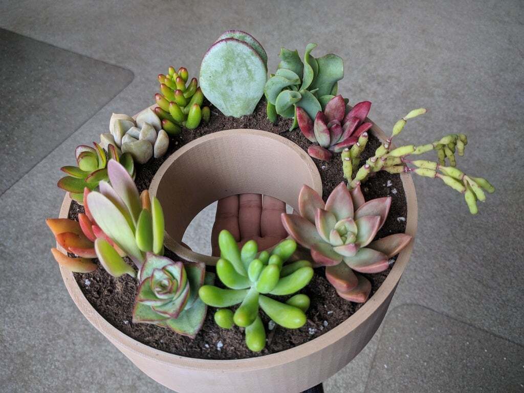 Бесплатный STL файл Donut Pot・Дизайн для загрузки и 3D-печати・Cults