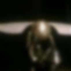 Download free 3D model Golden Snitch stand ・ Cults