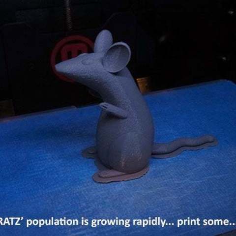 Download free STL file RATZ • 3D printer model ・ Cults
