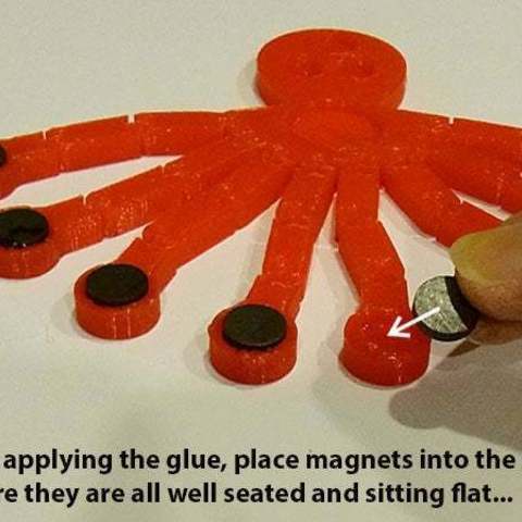 Download free 3D printer designs Octo Magnetz... the Ultimate Fridge ...