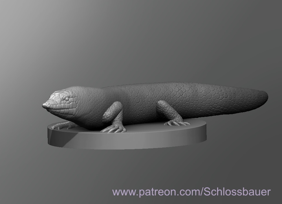 Free 3D file Sandfish Skink 🏜️・3D print model to download・Cults