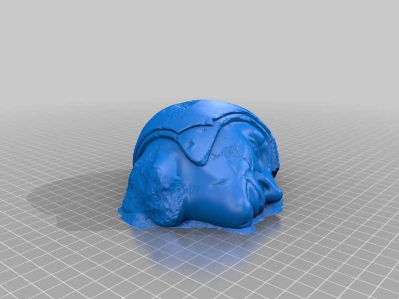 Free 3D file Lost Head・3D print model to download・Cults