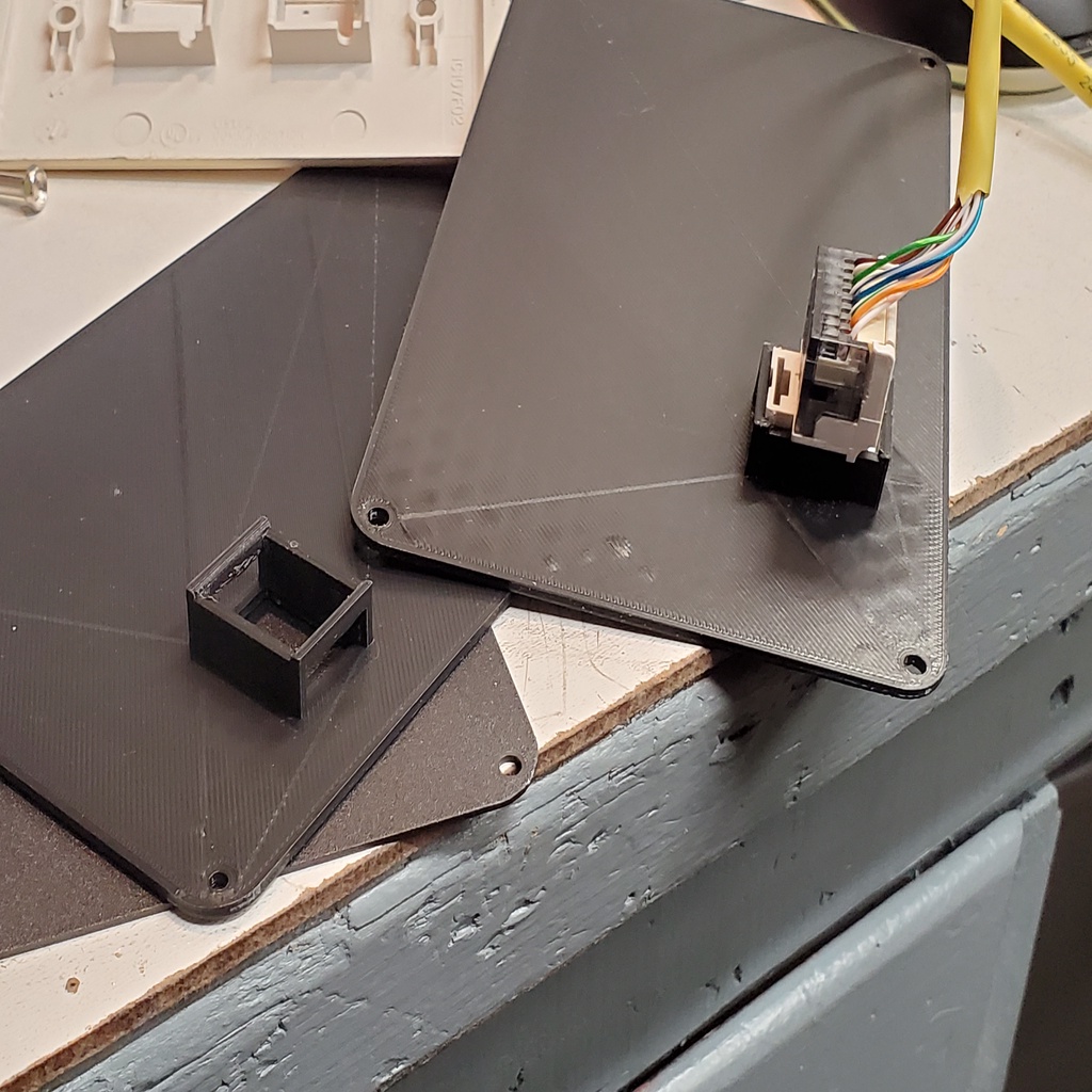 Free 3D file EPAX X1 SLA Printer Custom Network Keystone Back Plate ...