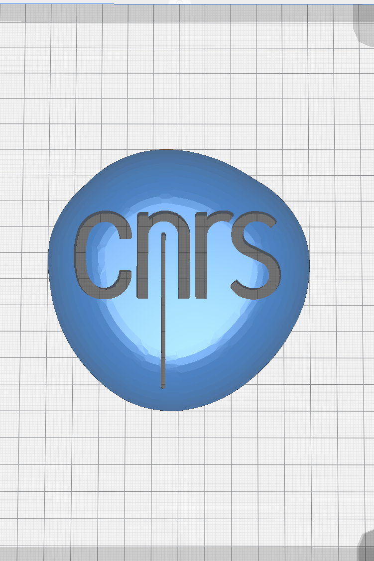 STL file CNRS logo (key ring) 🔑・Design to download and 3D print・Cults