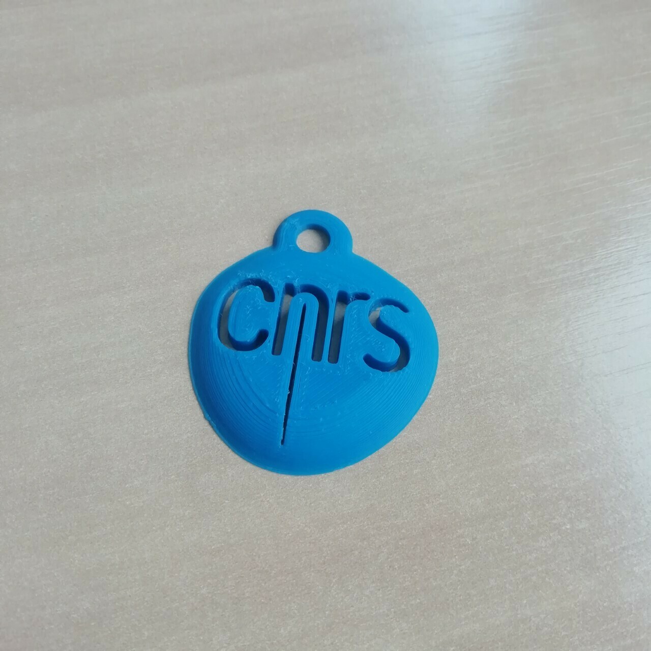 Работа CNRS logo (key ring), напечатанная в формате 3D • Сделано на 3D ...