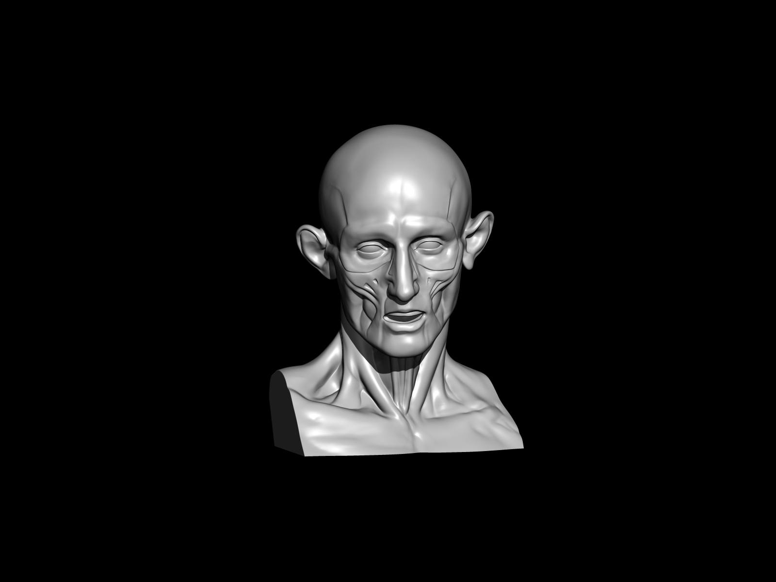 STL file Houdon Ecorche Head (Écorché)・3D printer design to download・Cults
