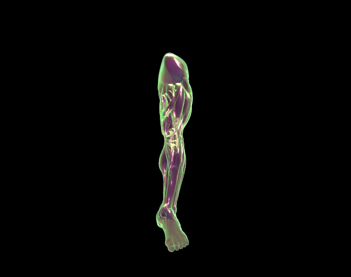 STL file Ecorche Leg 🦵・3D printing idea to download・Cults