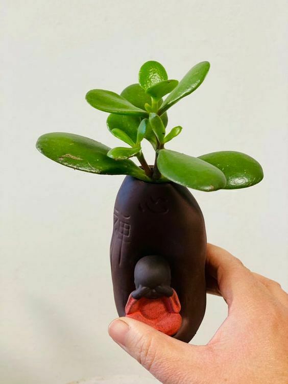 3D file monk pot・3D printer design to download・Cults