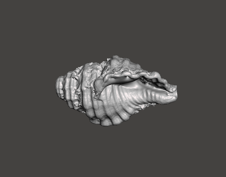 STL file SEASHELL SEASHELL・3D printing design to download・Cults
