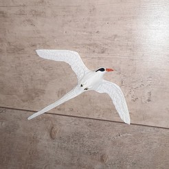 STL files for 3D printer Bird ・ Cults