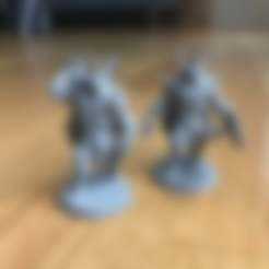 Download free STL file Gloomhaven Inox Bodyguard • 3D printing design ...
