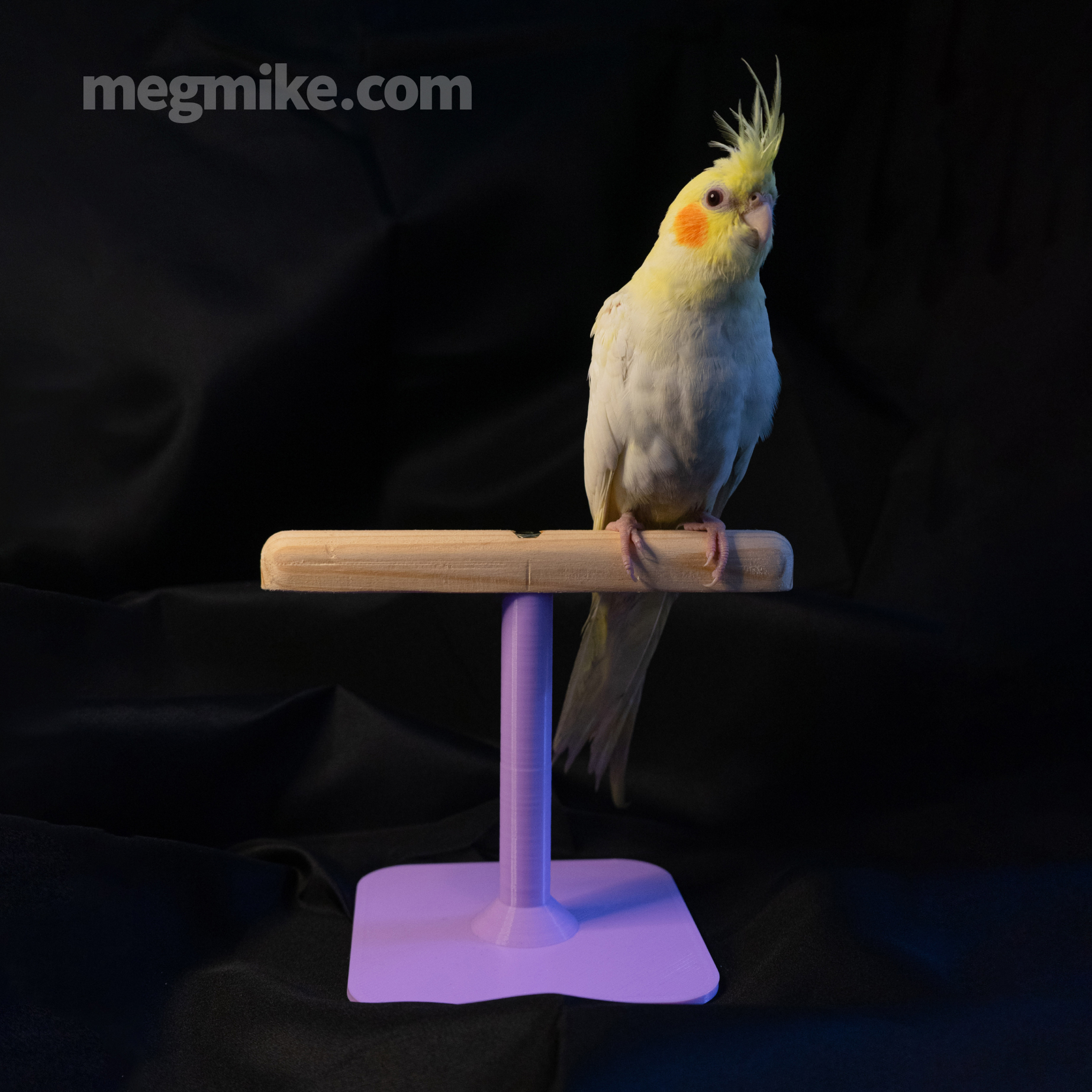 STL file Wooden Parrot Perch・3D printable model to download・Cults