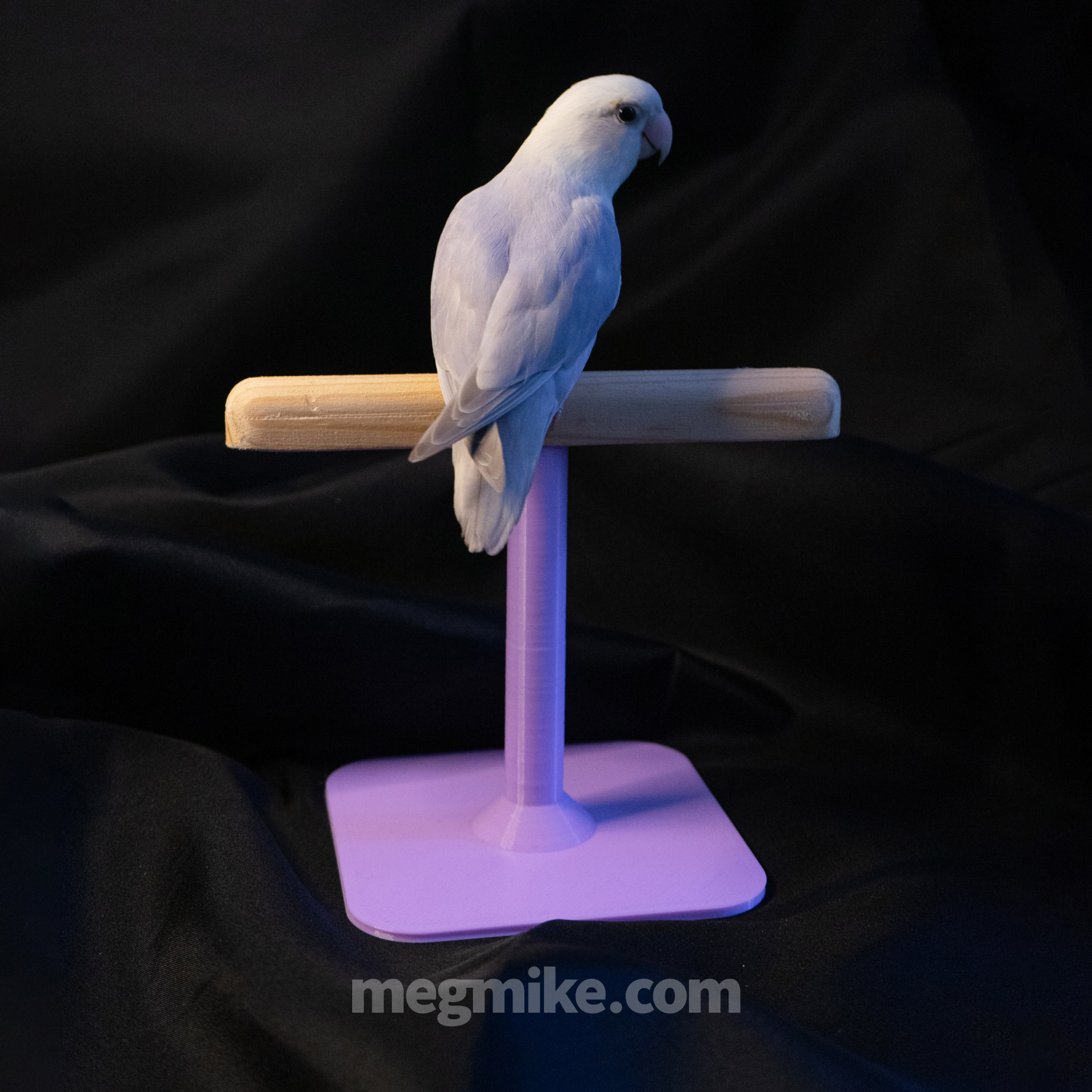 STL file Wooden Parrot Perch・3D printable model to download・Cults