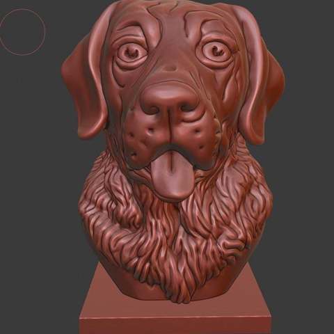 Download free STL file Labrador Retriever bust (Dog head) • 3D ...