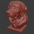 Download free STL file Labrador Retriever bust (Dog head) • 3D ...