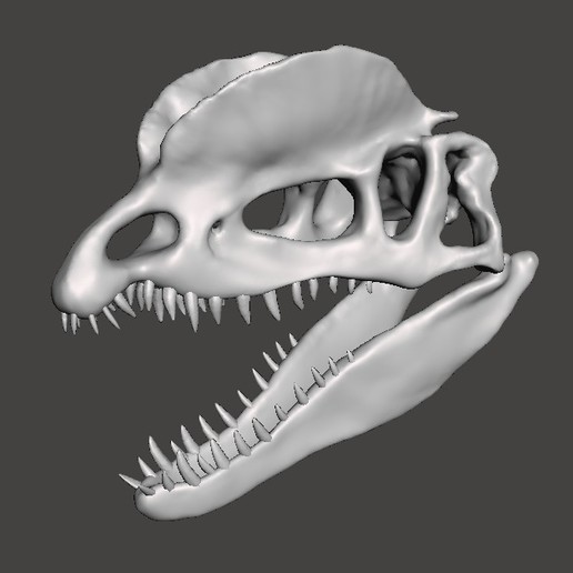 Download STL file Dilophosaurus dinosaur skull • 3D printing model ・ Cults